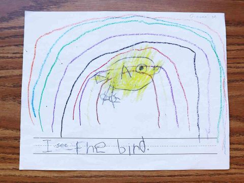 Directed Drawing - Bartleby's Box of Primary Goods